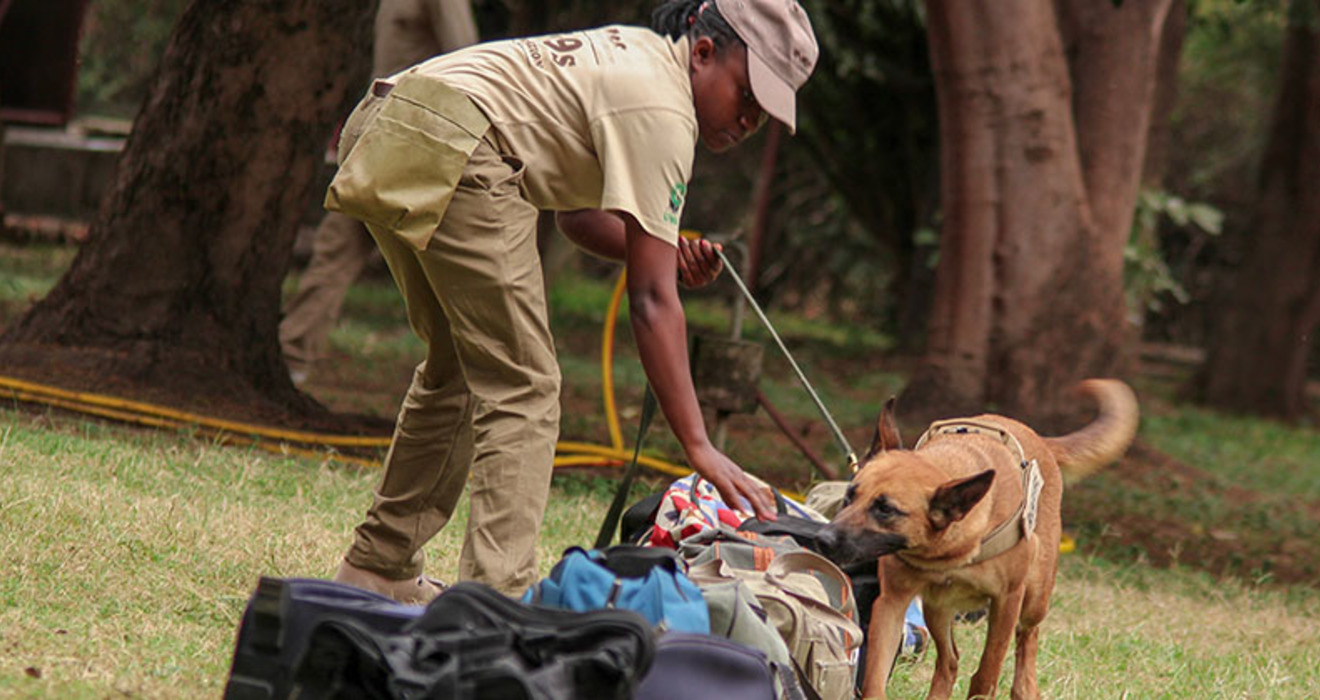Saving Species Combating Illegal Wildlife Trade Cleveland Zoological saving-species-combating-illegal-wildlife-trade-cleveland-zoological