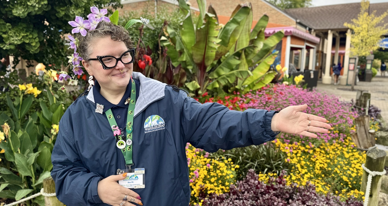 Zoo Kids Turned Zoo Staff| Cleveland Zoological Society | November 18, 2024