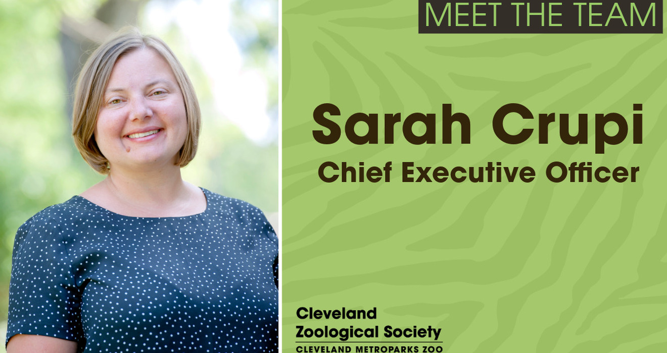 Meet the CZS Team: Sarah Crupi, Chief Executive Officer| Cleveland ...