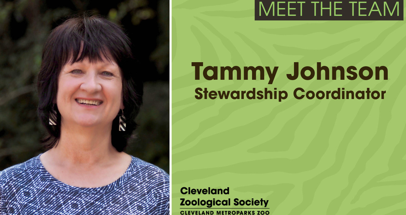 Meet the CZS Team: Tammy Johnson, Stewardship Coordinator| Cleveland ...