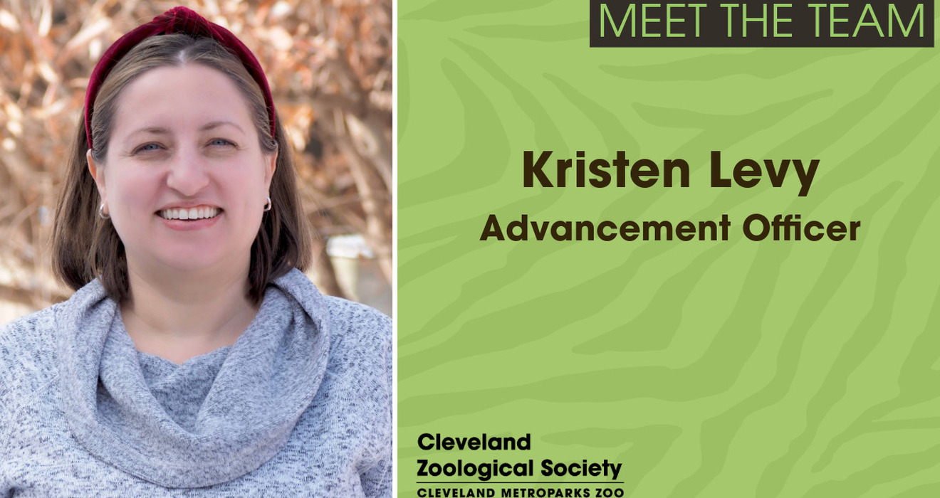 Meet the CZS Team: Kristen Levy, Advancement Officer| Cleveland ...