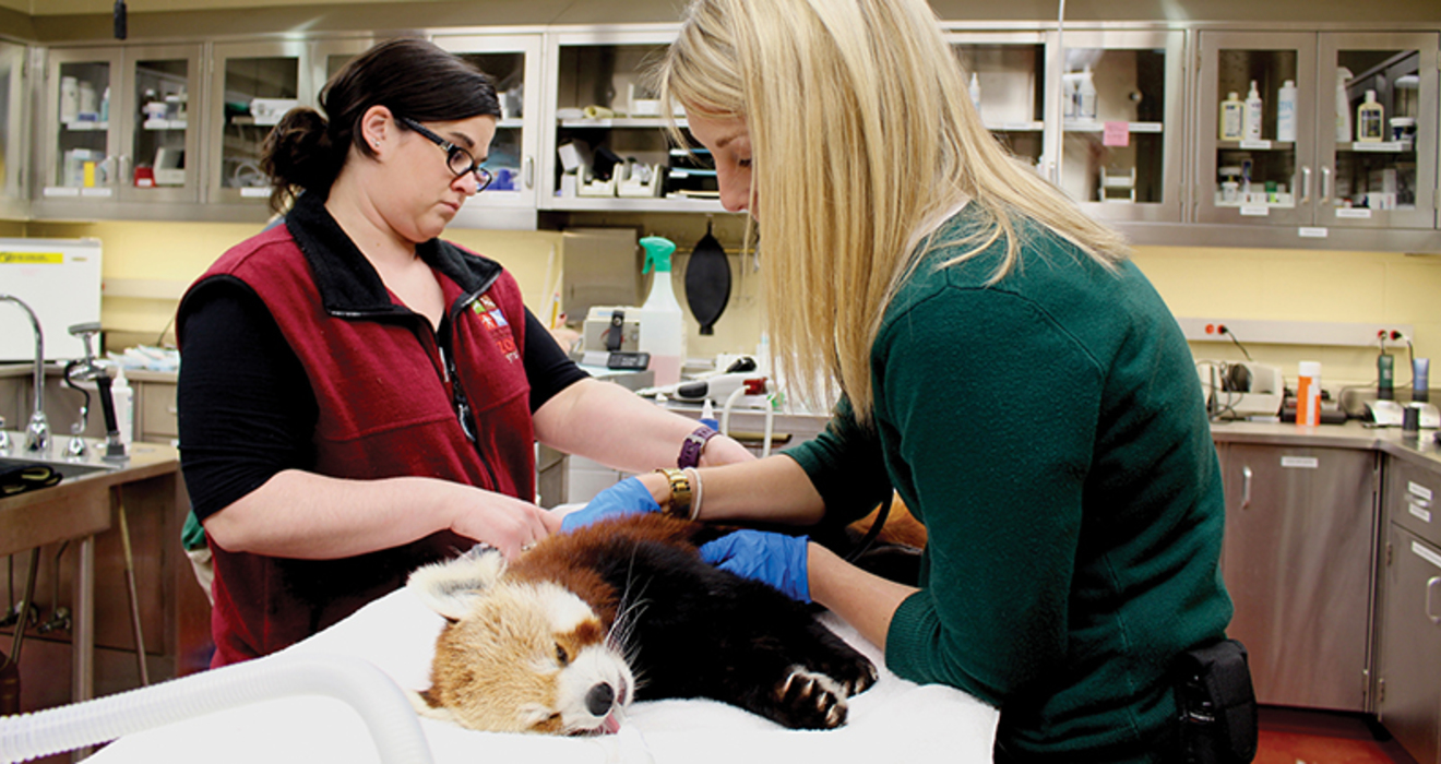 Taking Pride in Animal Care| Cleveland Zoological Society | March 01, 2017