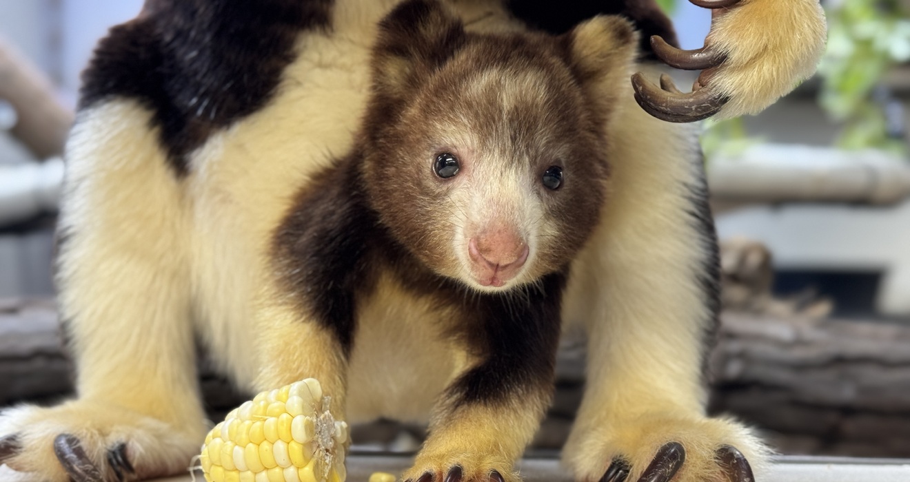 Wildly Curious| Cleveland Zoological Society | July 14, 2025